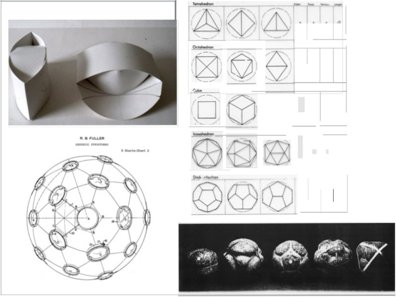 14.platonicsolids – Papercraft Helsinki